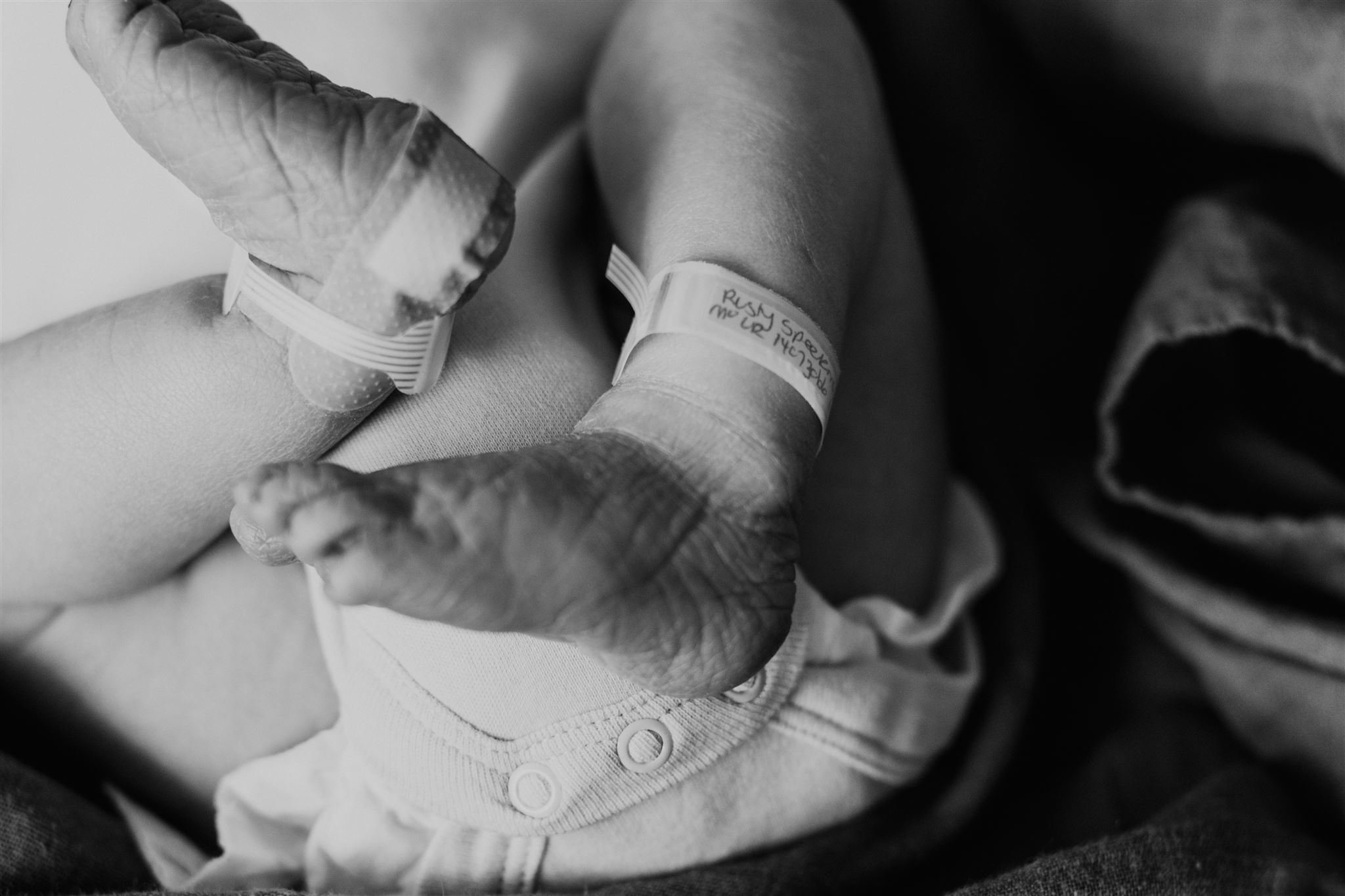 Packages + Pricing — Lisa Hayman Photo + Film