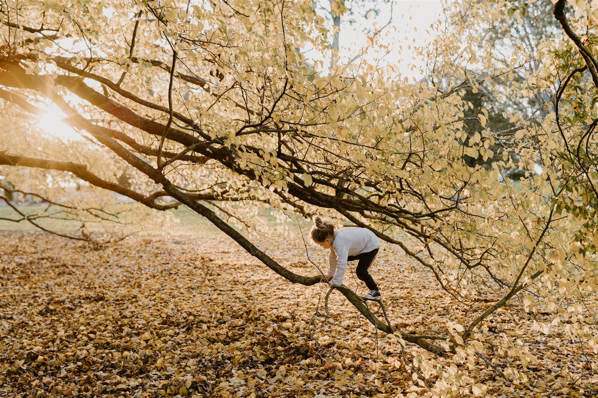 Lisa Hayman Photo + Film