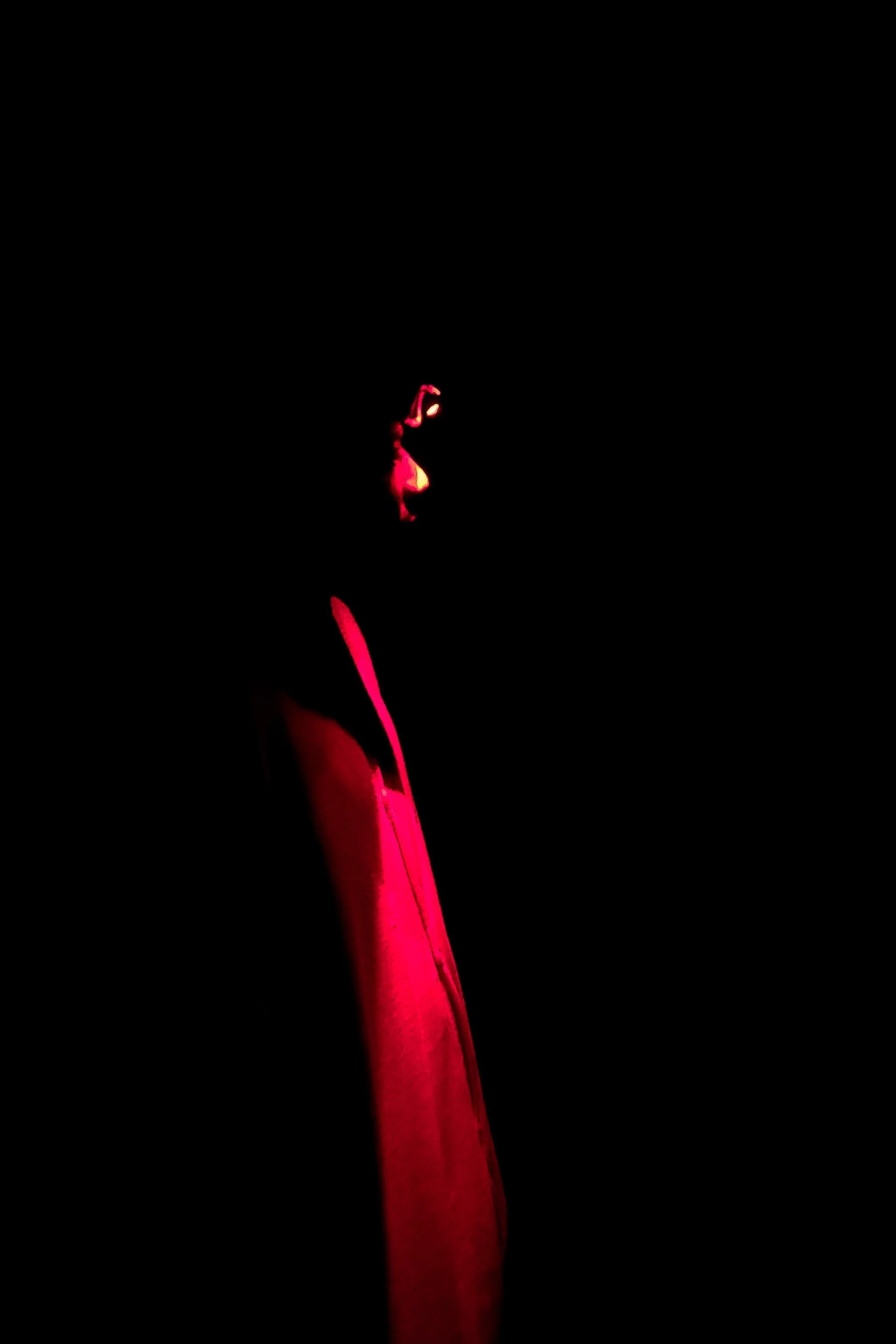 ATIZAY - Culture • Art • Diversity