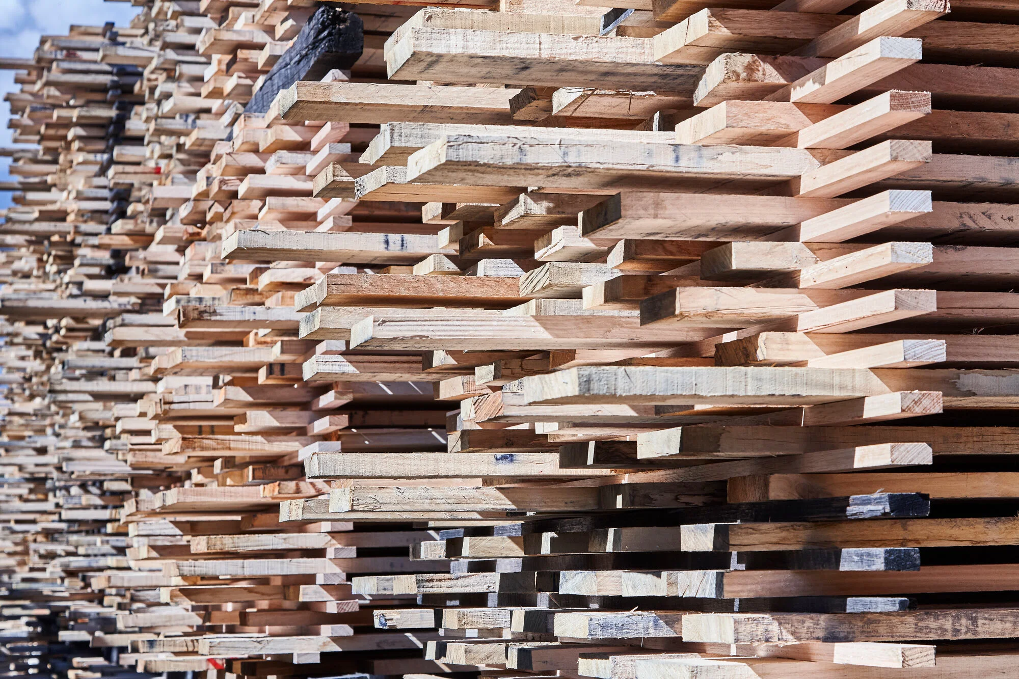 About NSFP — Abelwood