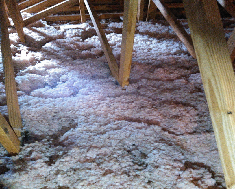 Mouse Removal and Permanent Exclusion — Wildlife Company LLC