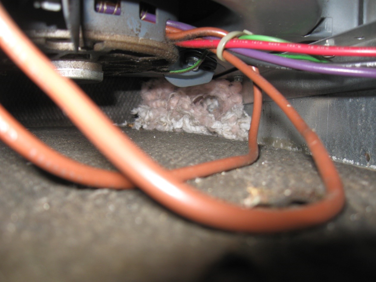 Mouse Exclusion — Wildlife Company LLC