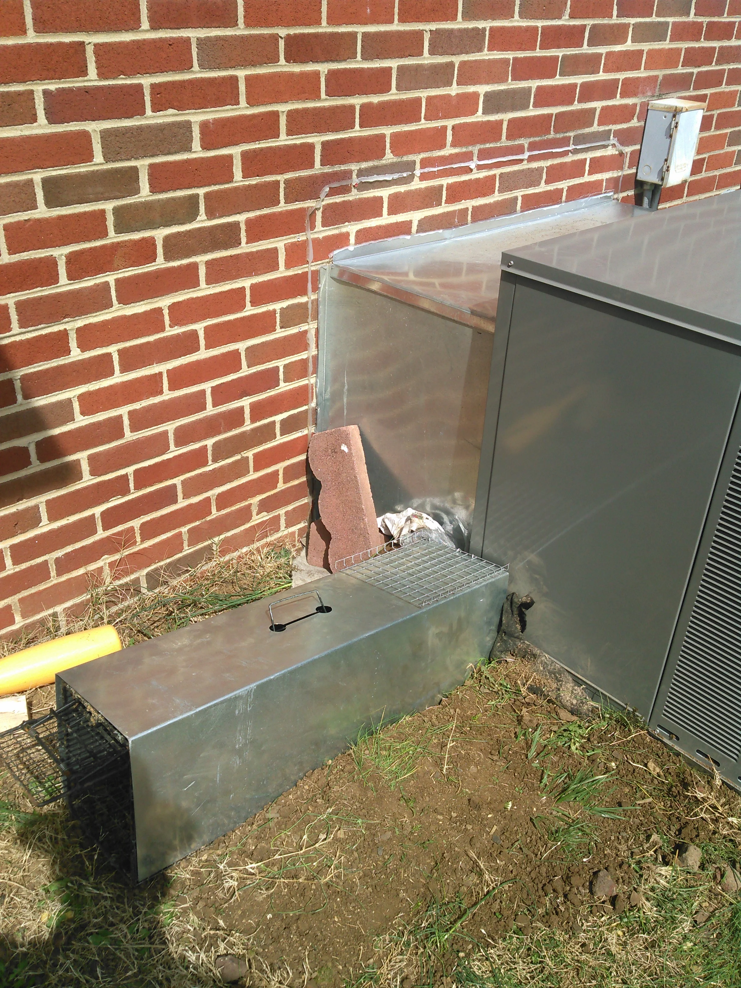 How to Trap a Skunk — Wildlife Company LLC