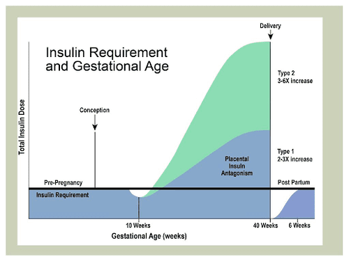 Diabetes III: Insulins — CREOGS Over Coffee