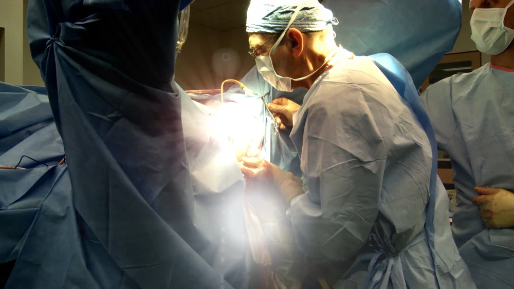 Transfixed — Filmoption International