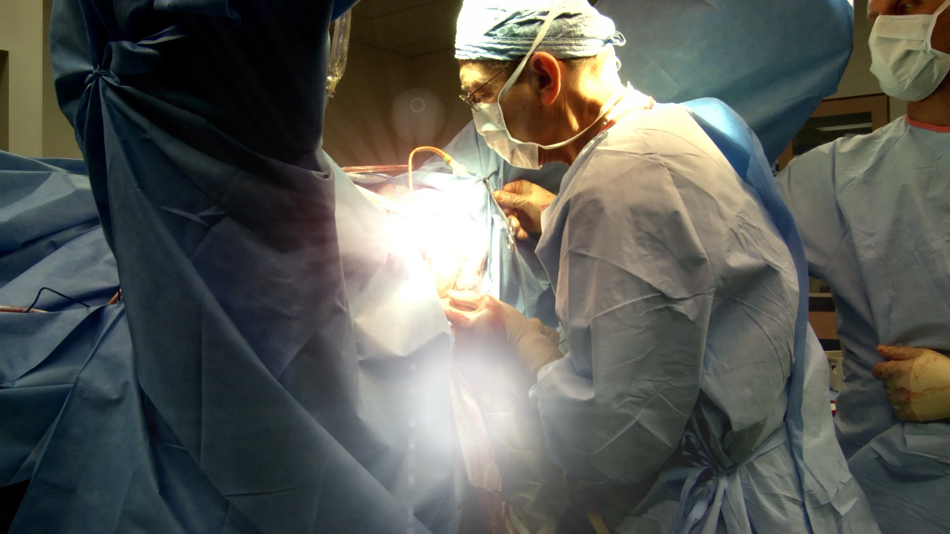 Transfixed — Filmoption International