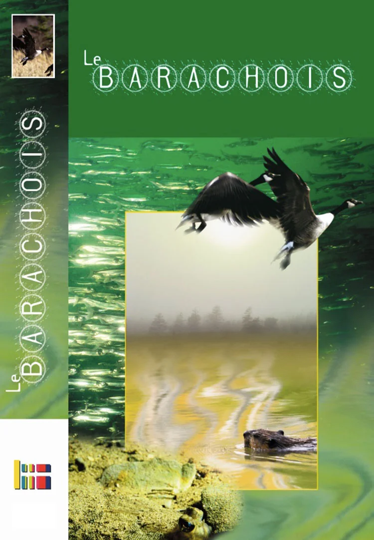 The Salt Marsh — Filmoption International