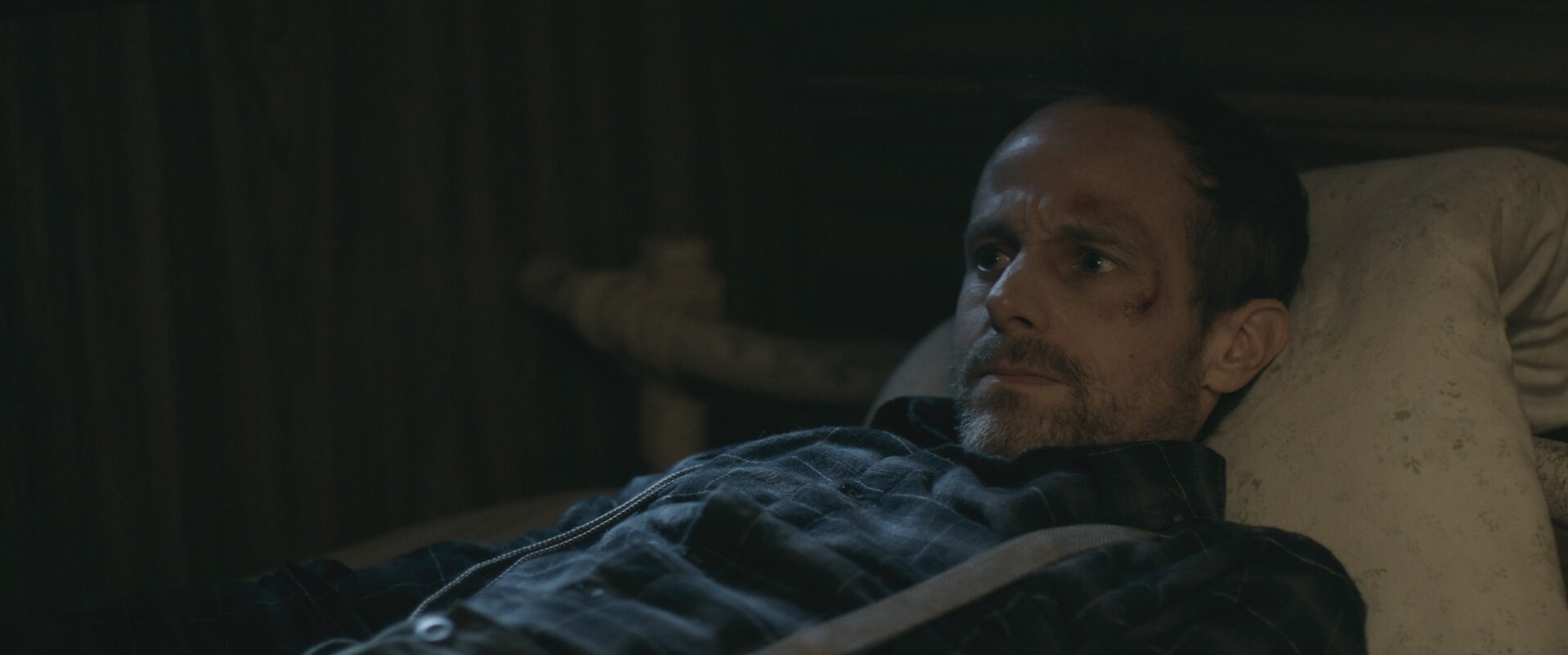 Woodland Grey — Filmoption International