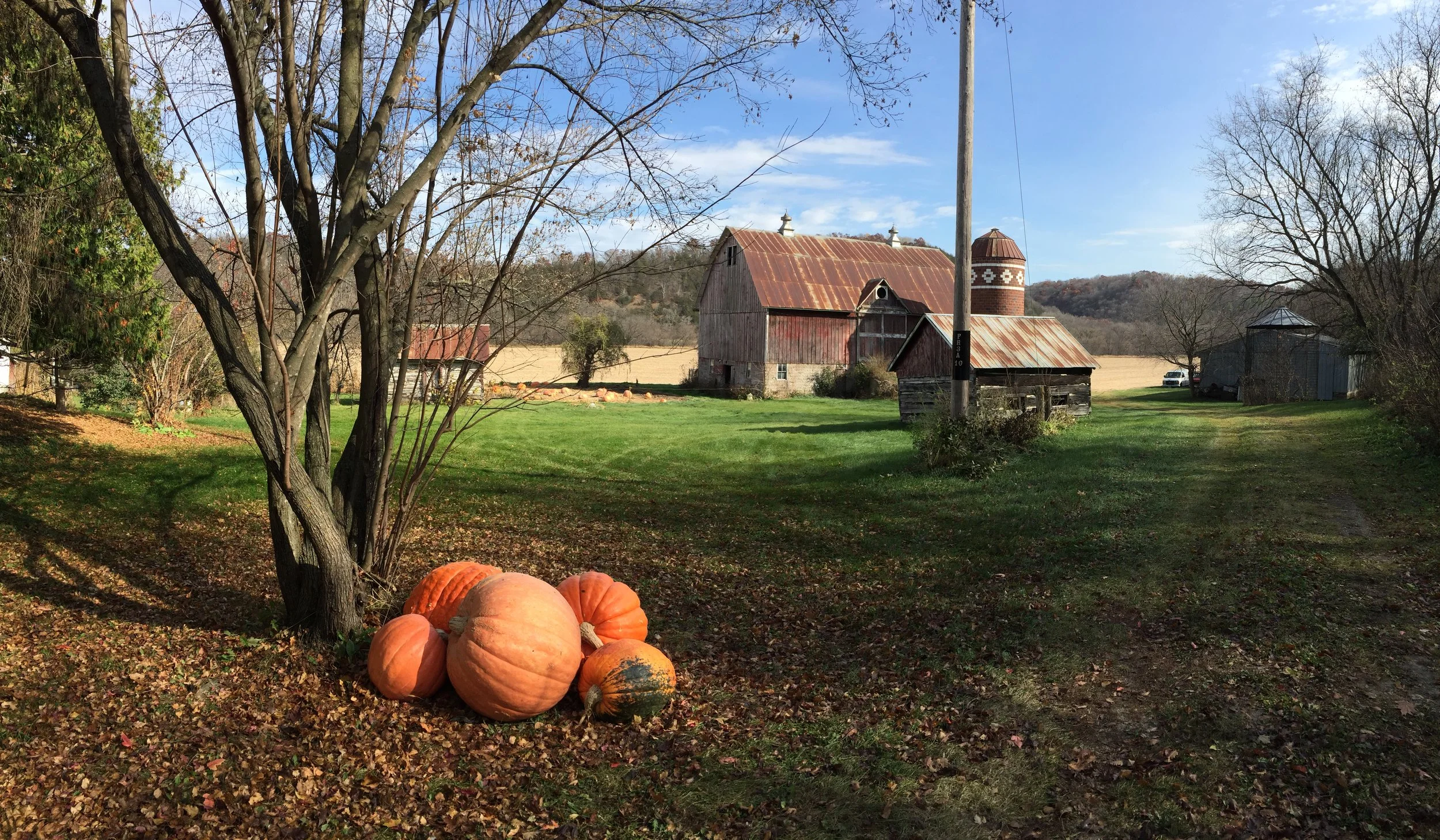 The Wen Inn — Info