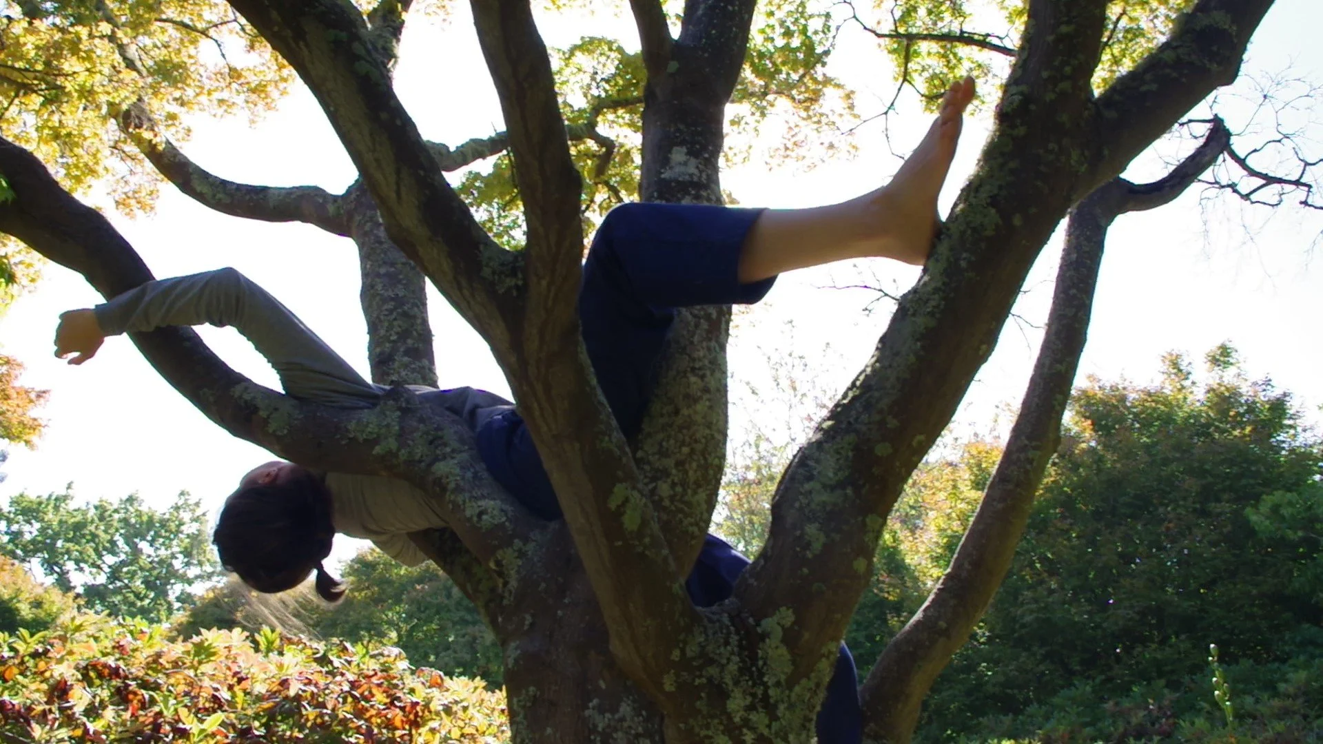 Dancing Otepoti: Sensuous Ecographies of Place — Dunedin Dream Brokerage