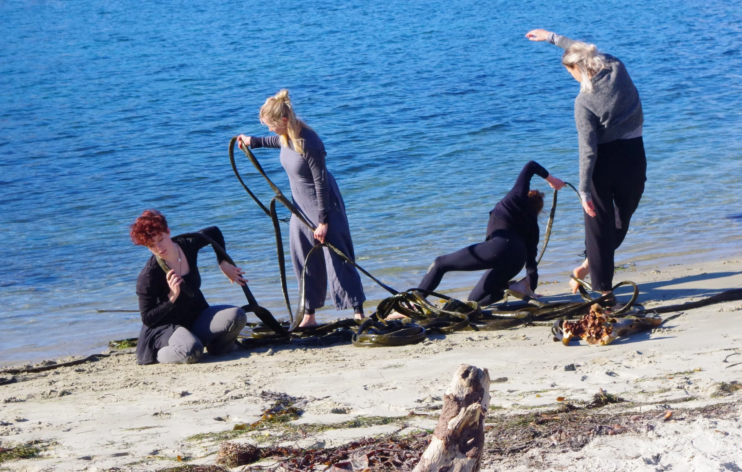 Dancing Otepoti: Sensuous Ecographies of Place — Dunedin Dream Brokerage