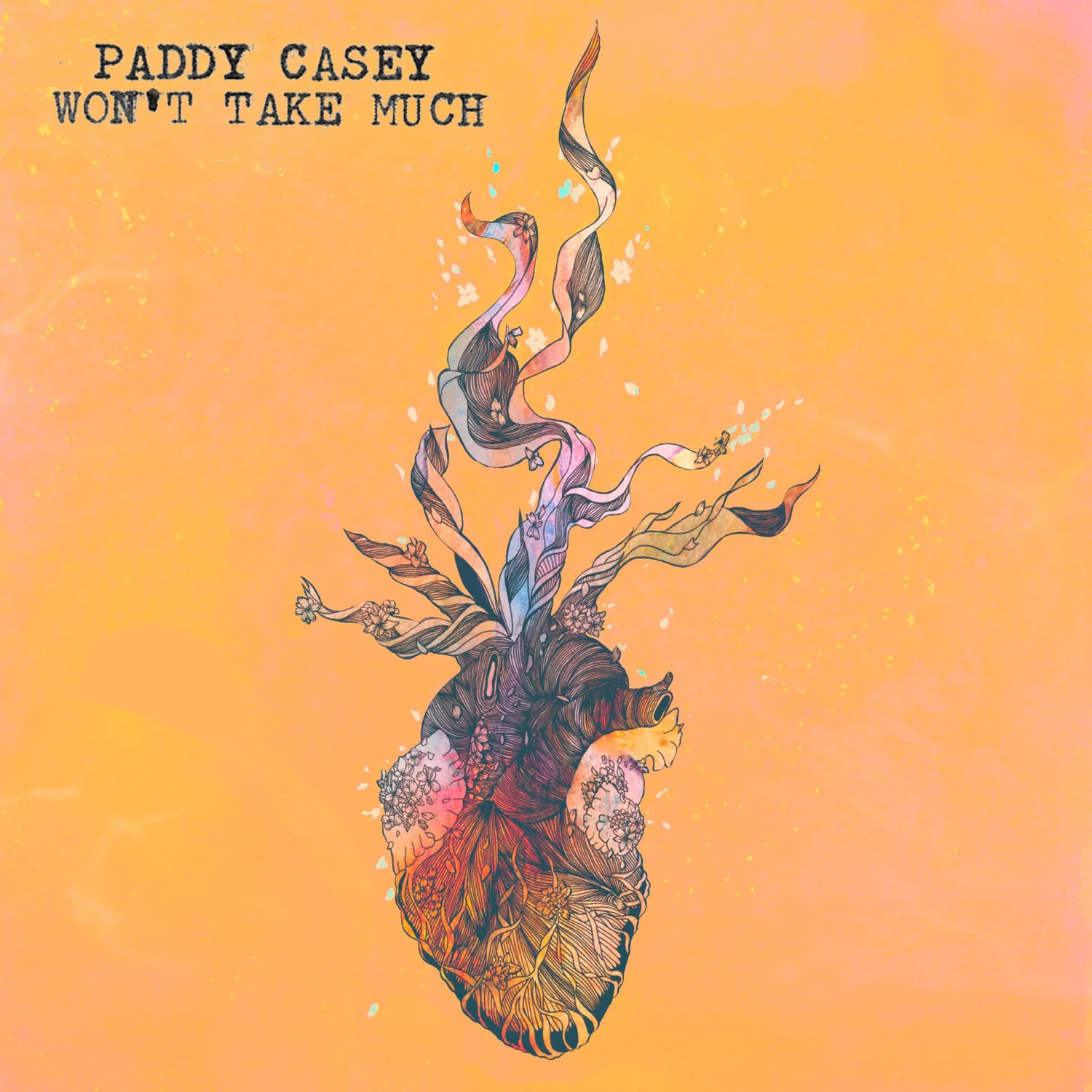 PADDY CASEY MUSIC