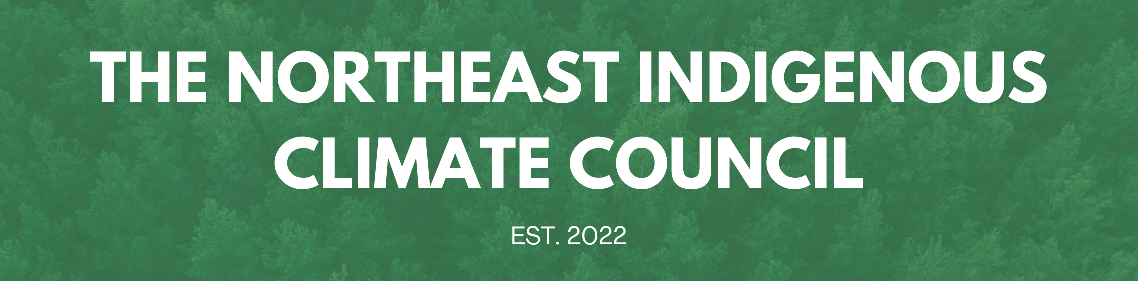 Climate Councils — Alliance for a viable future