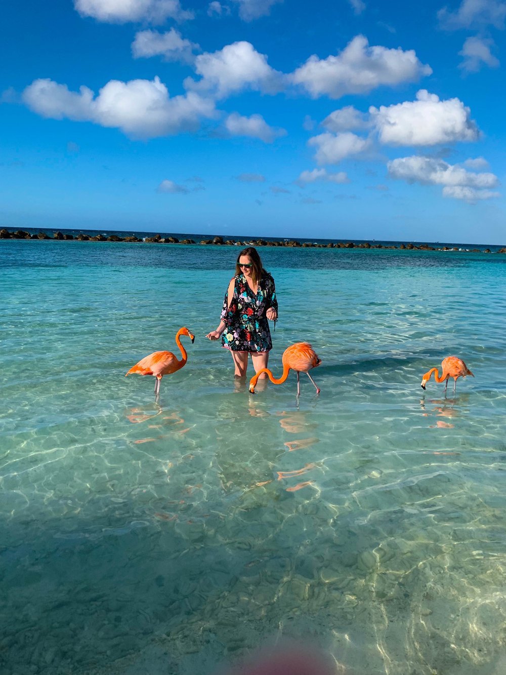 Everything you need to know about visiting Flamingo Beach, Aruba! — The ...