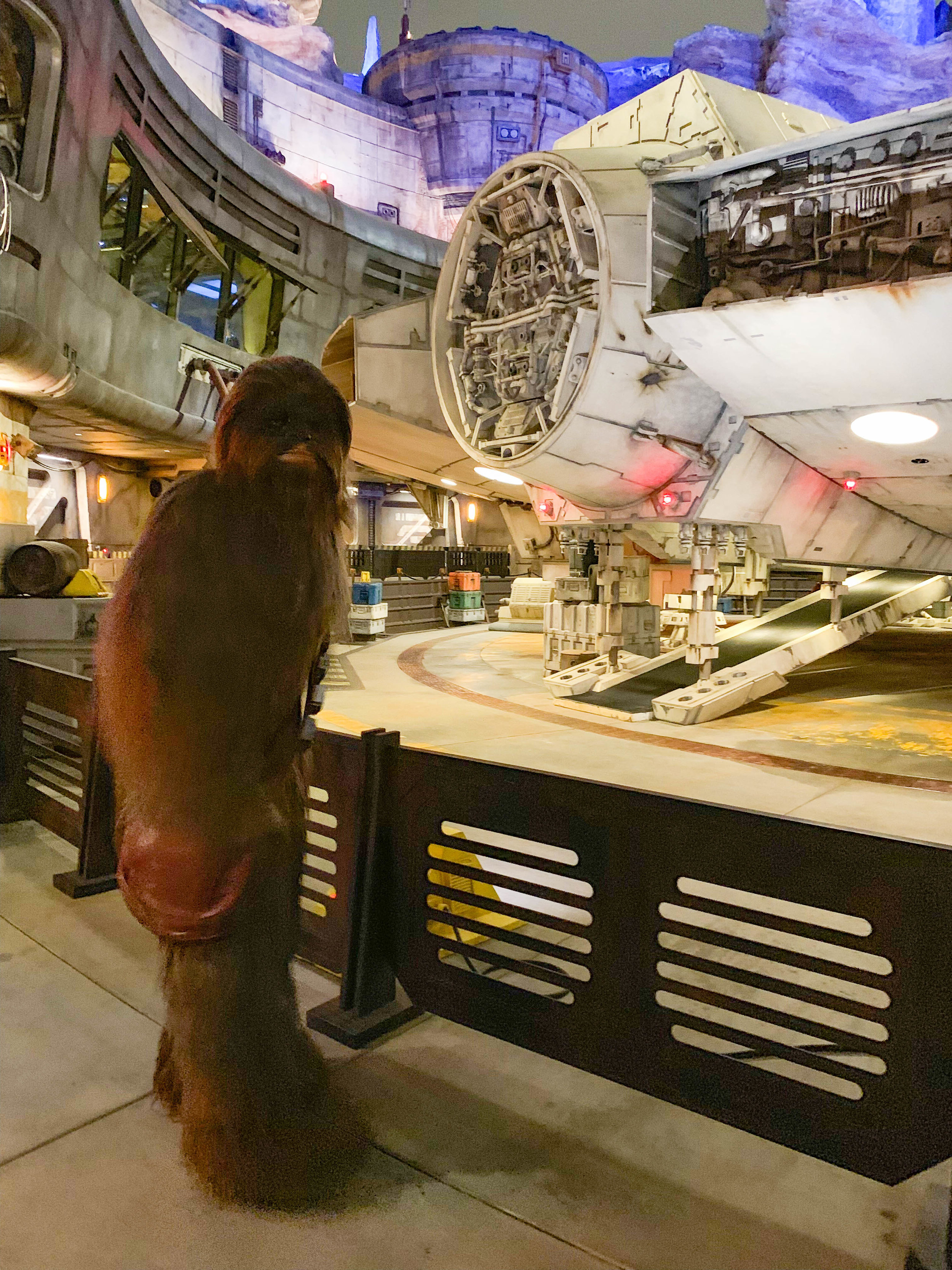 10 Things You Must See and Do at Star Wars Galaxy's Edge at Disneyland ...