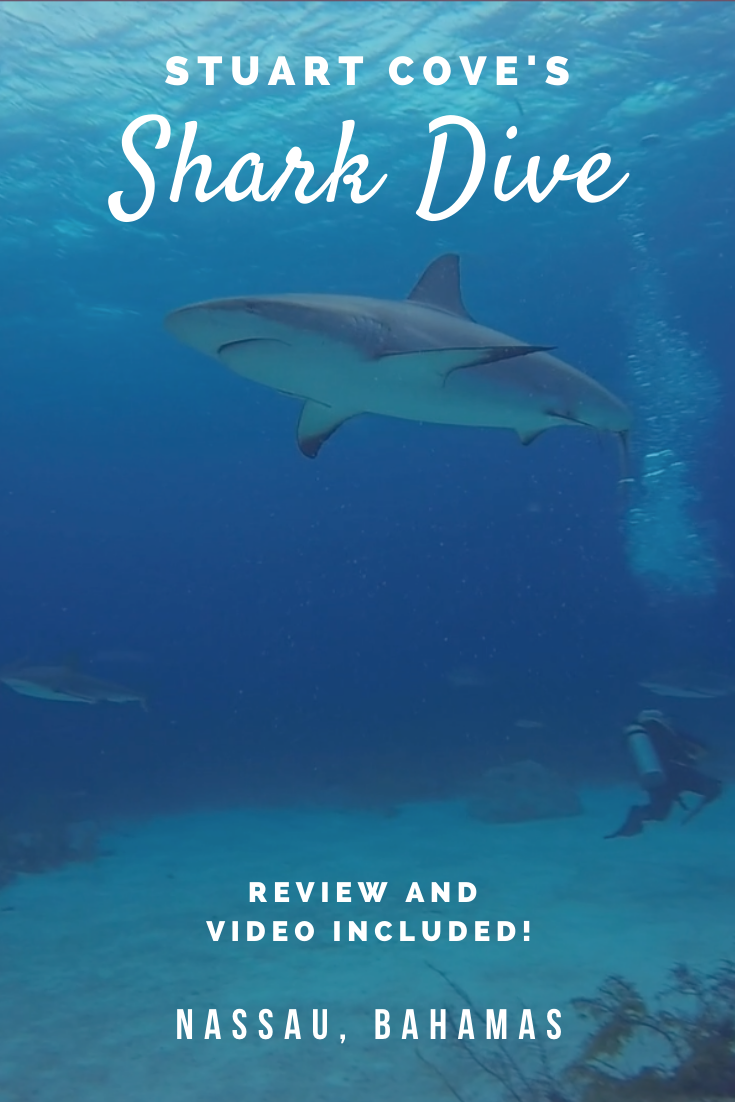 Terrifying Shark Scuba Dive at Stuart's Cove - Nassau, Bahamas | Video ...