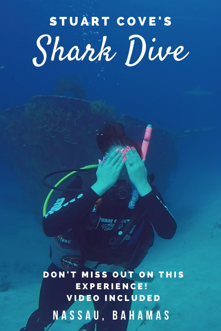 Terrifying Shark Scuba Dive at Stuart's Cove - Nassau, Bahamas | Video ...