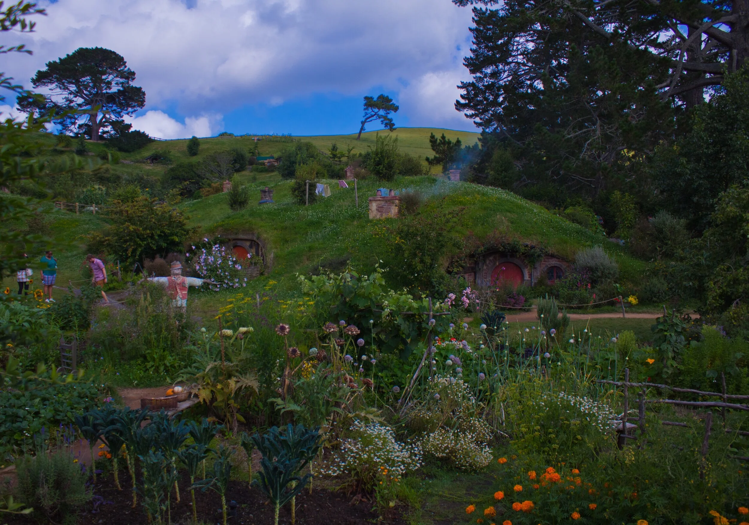 Hobbiton really exists and I want to live there! See the movie set in ...