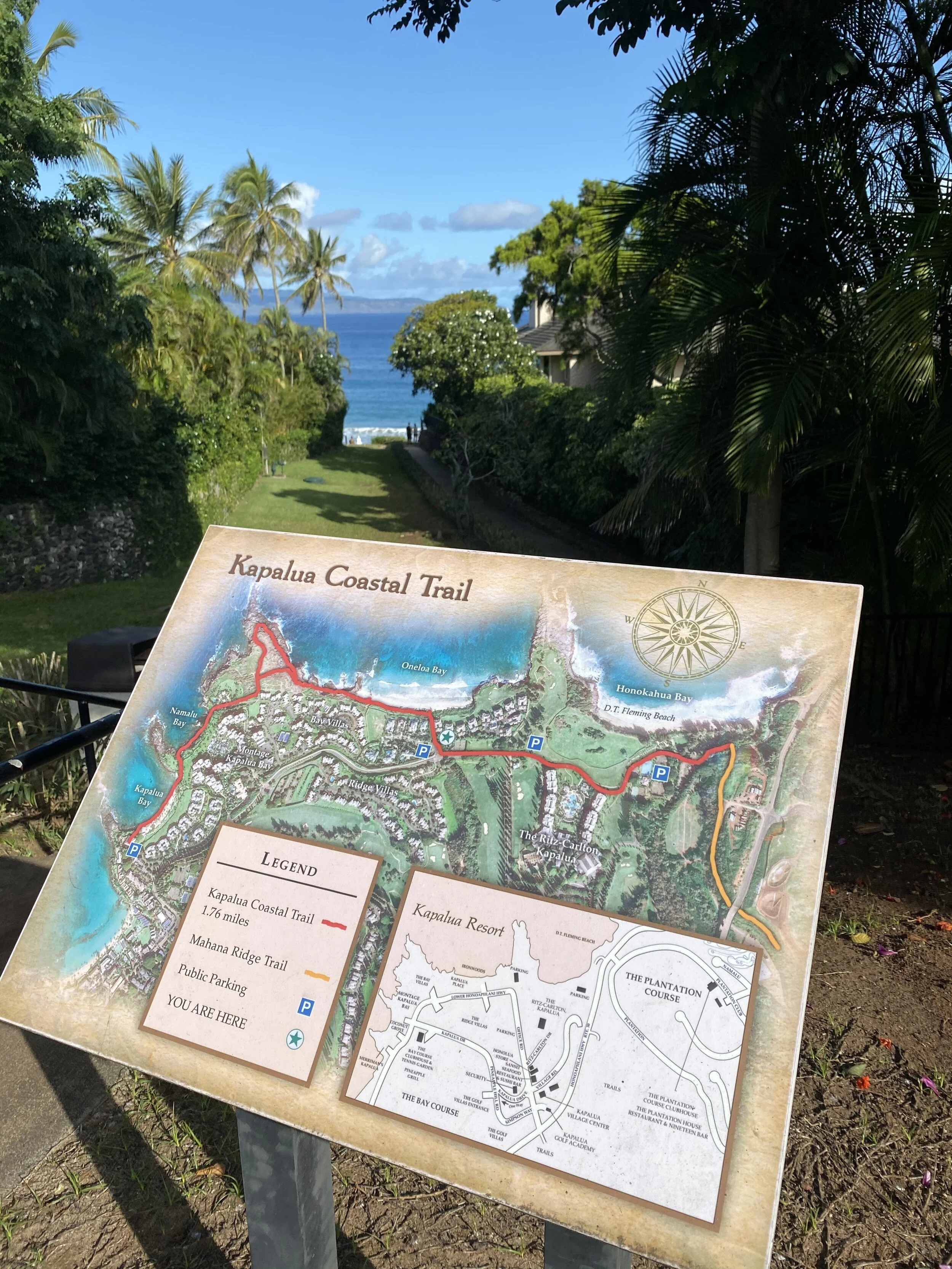 6 Great Hiking Trails with Beautiful Views in Maui, Hawaii (Maps ...