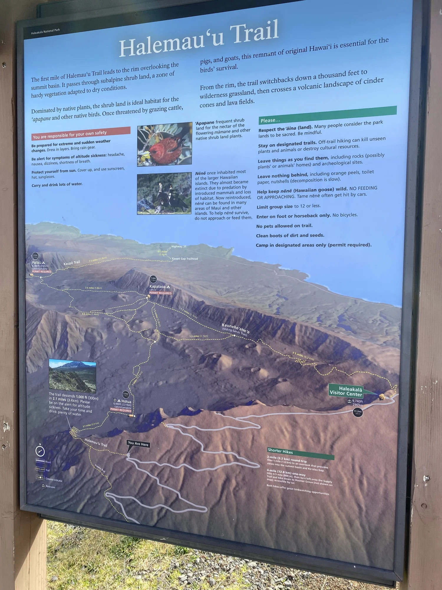 6 Great Hiking Trails with Beautiful Views in Maui, Hawaii (Maps ...