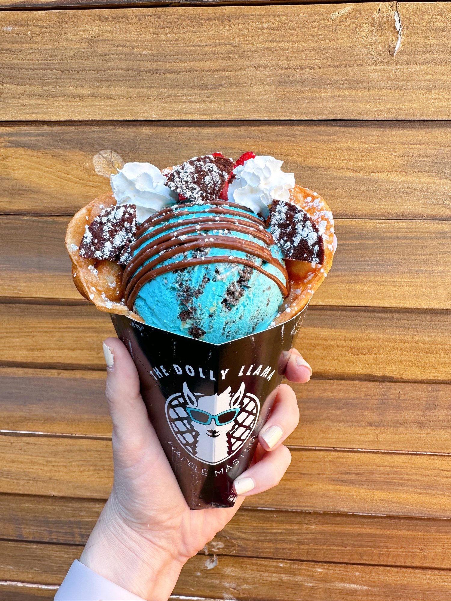 Dolly Llama Ice Cream Review - Alpaca Your Spoon! LOS ANGELES — The ...