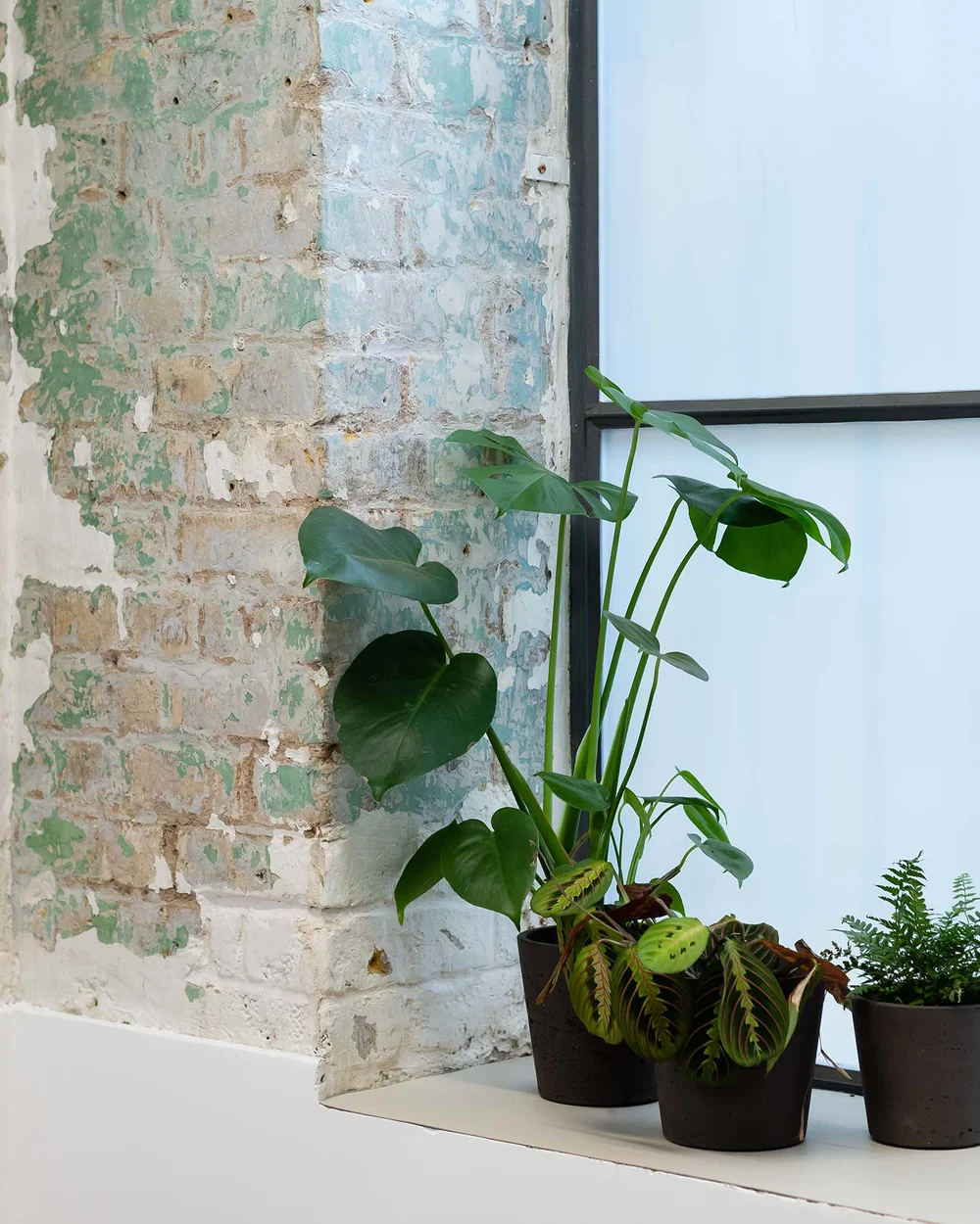 The Ink Works — Freehaus