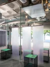 Rising Green — Freehaus
