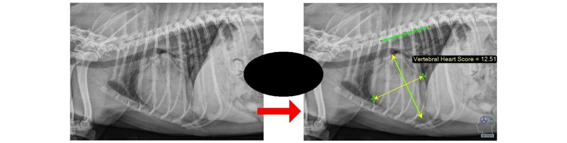 Try It! — MetronMind