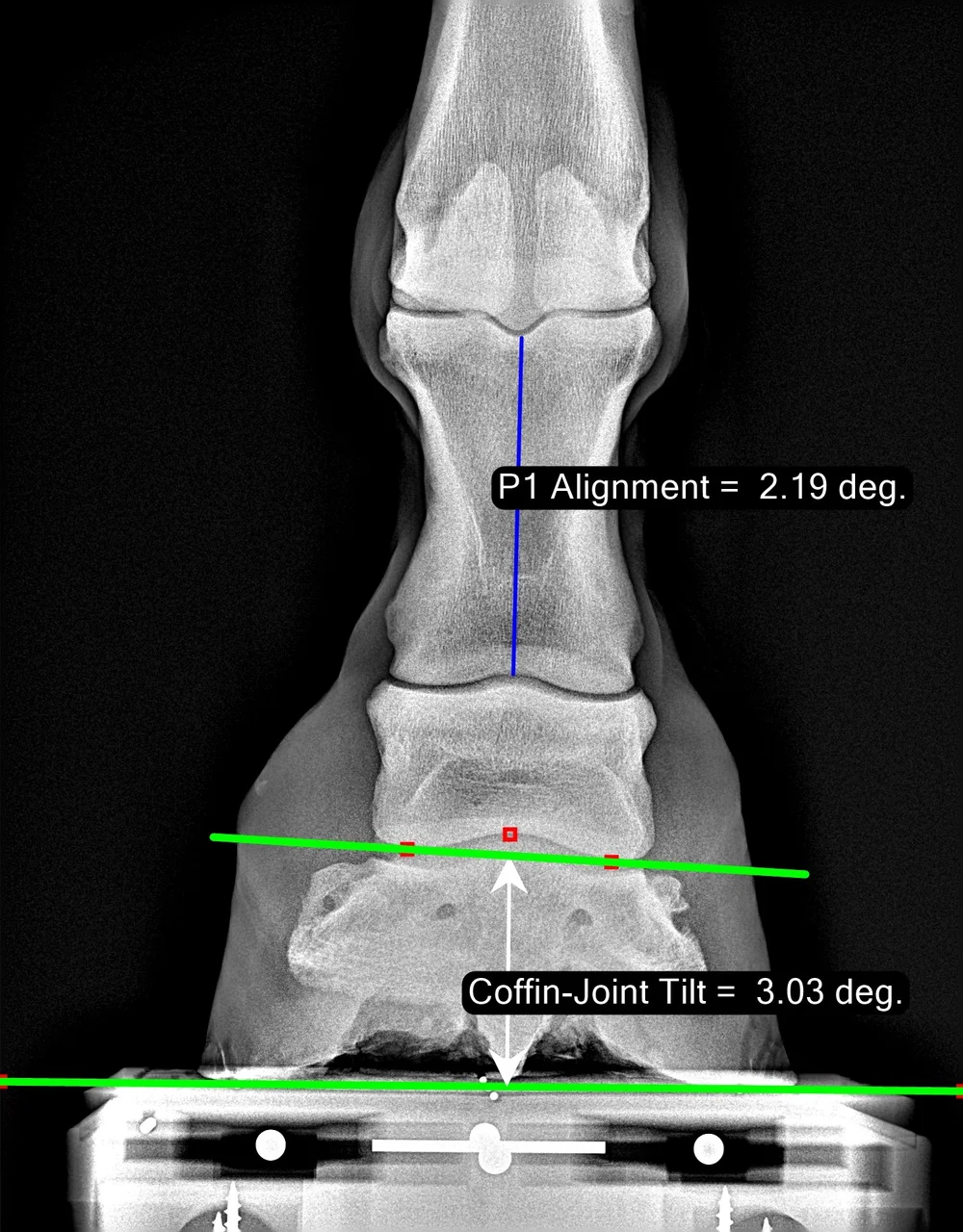 DP Hoof Radiograph Measures — MetronMind