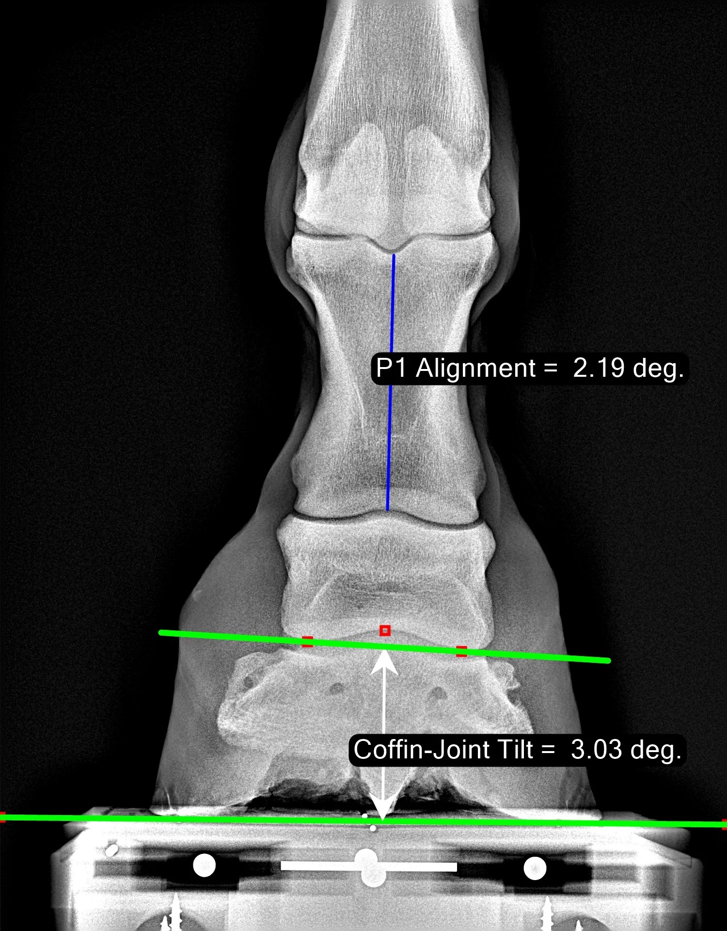 DP Hoof Radiograph Measures — MetronMind