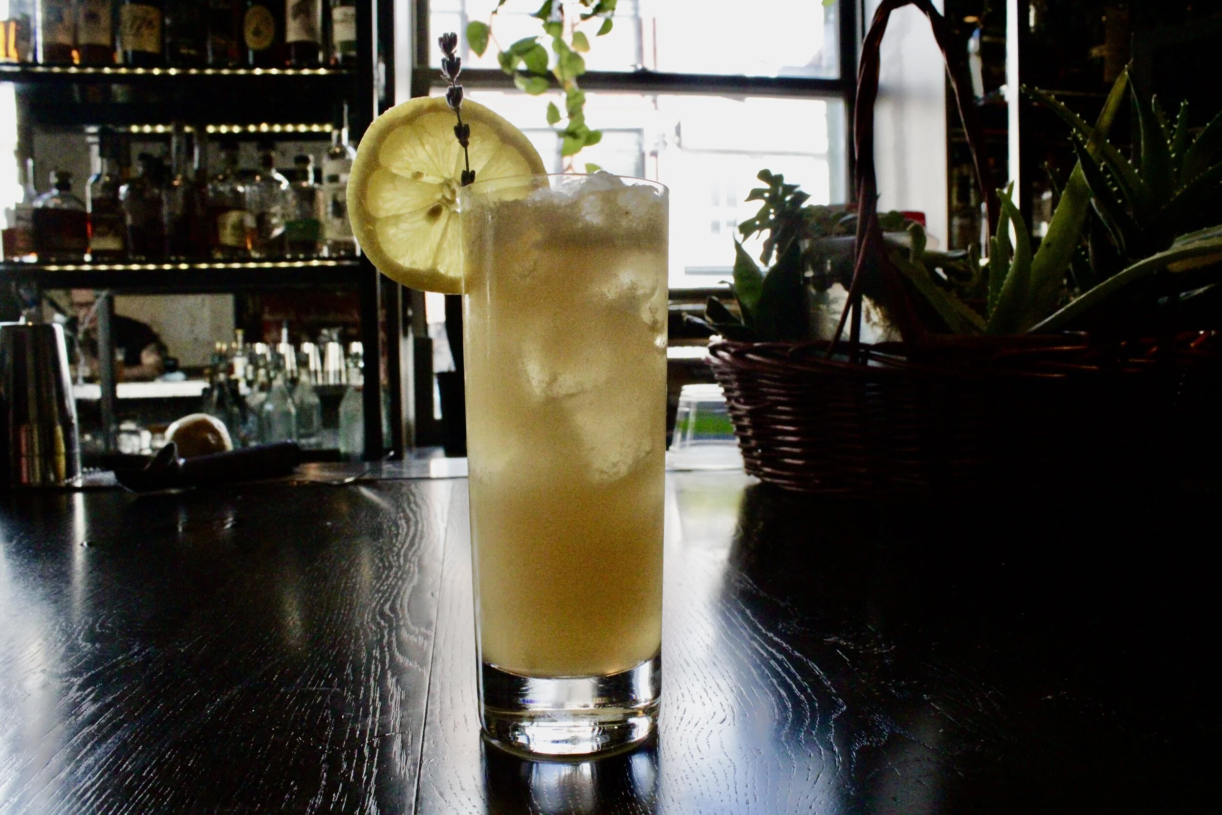 THE THIRSTY FOX — Zim's Cafe