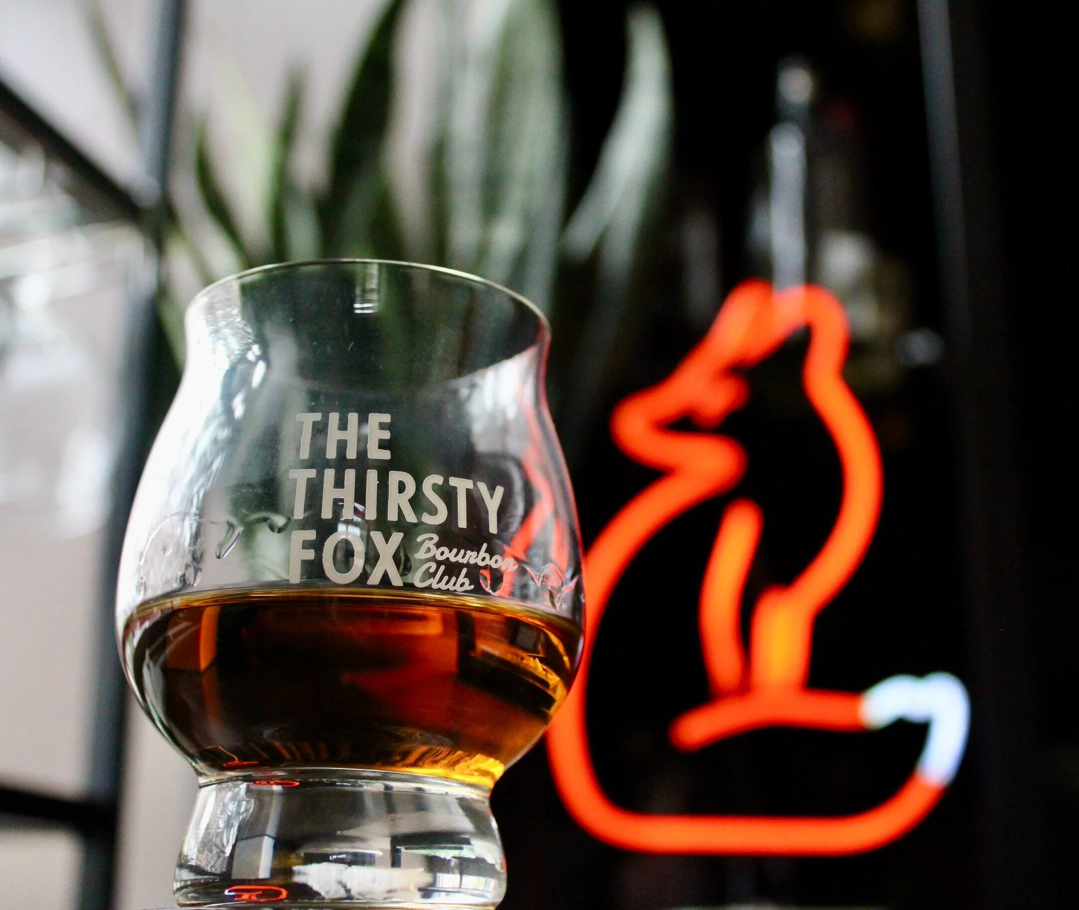 THE THIRSTY FOX — Zim's Cafe