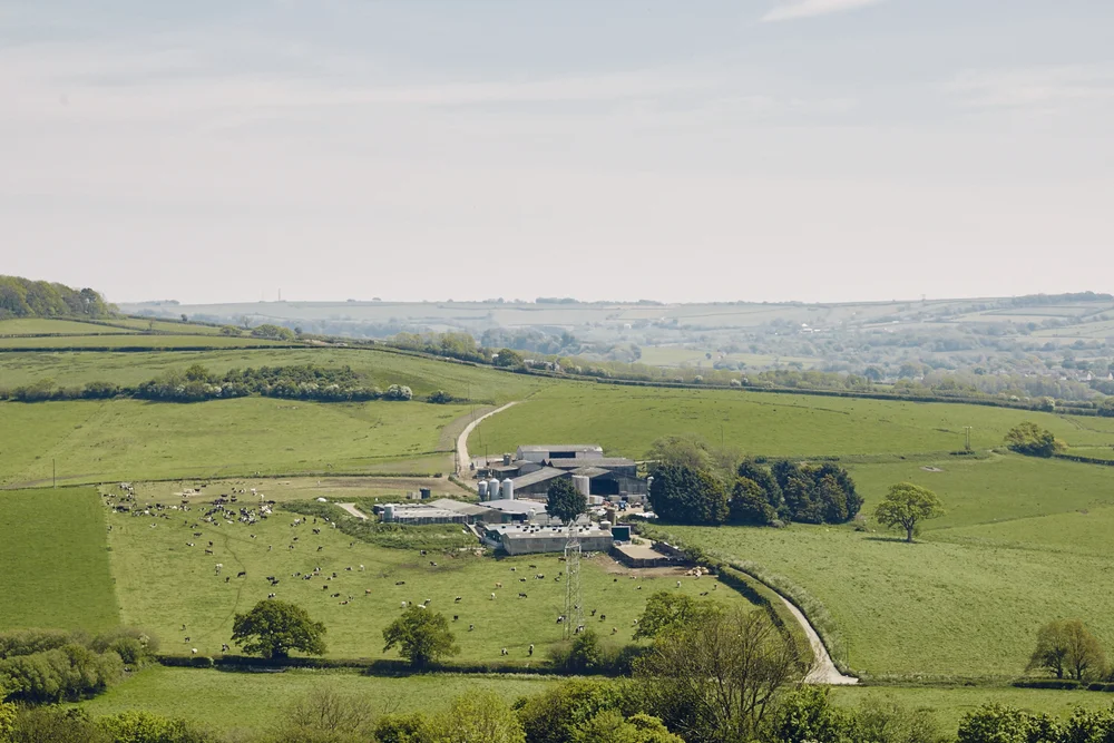 LPA Photographers / Alice Whitby / The Telegraph / Black Cow Vodka — HOME