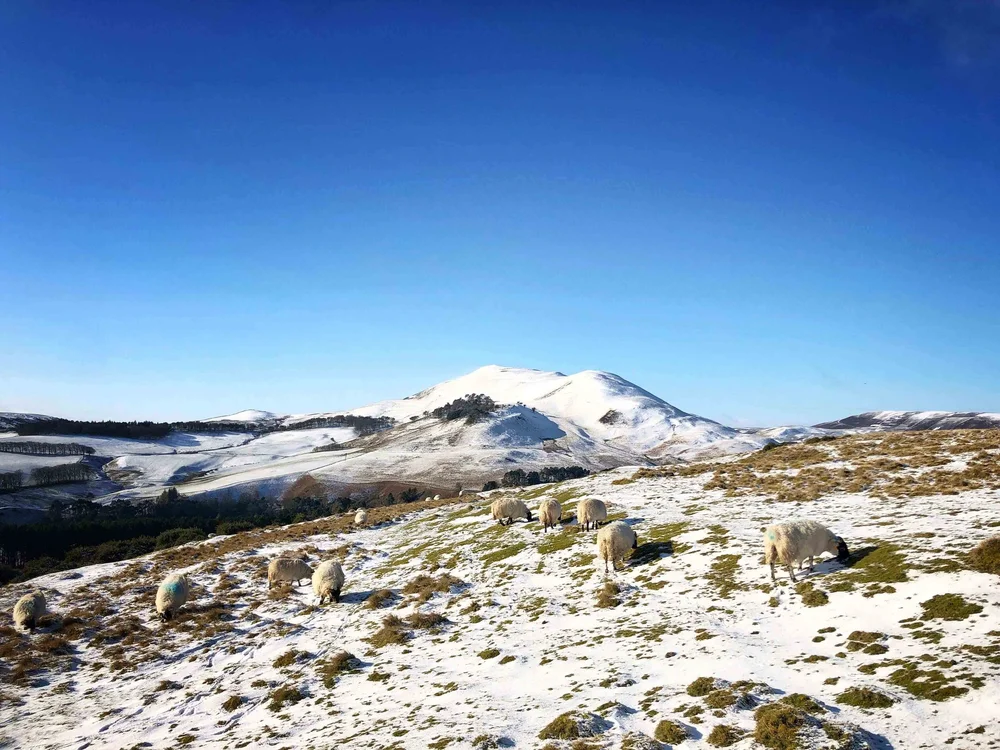Monarch Tours — EDINBURGH AND BEYOND