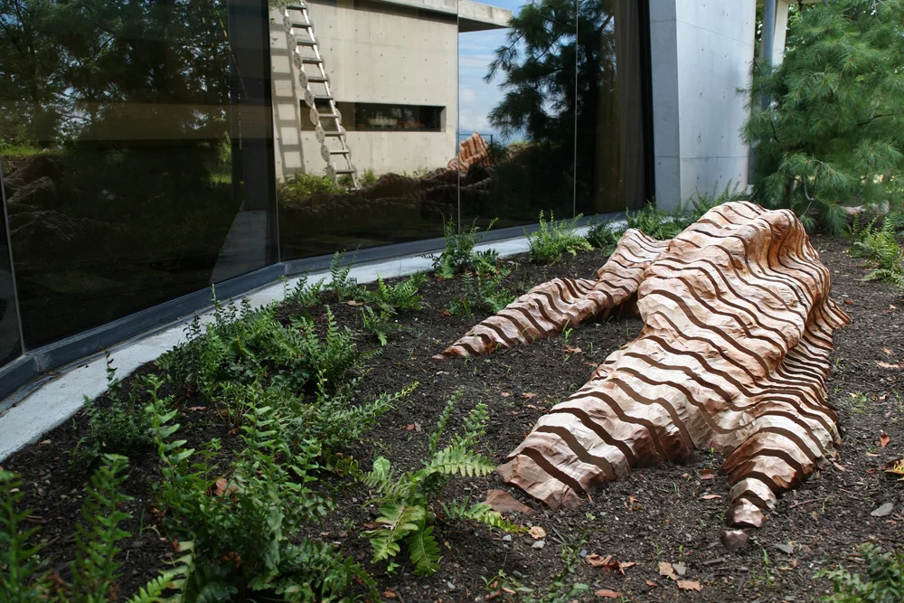 Emergence — BEN BUTLER