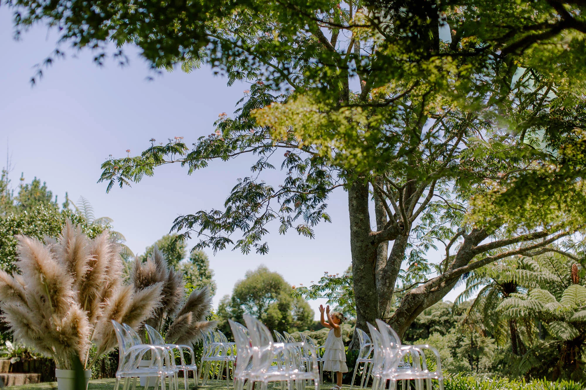 Gallery — Judy Lloyd