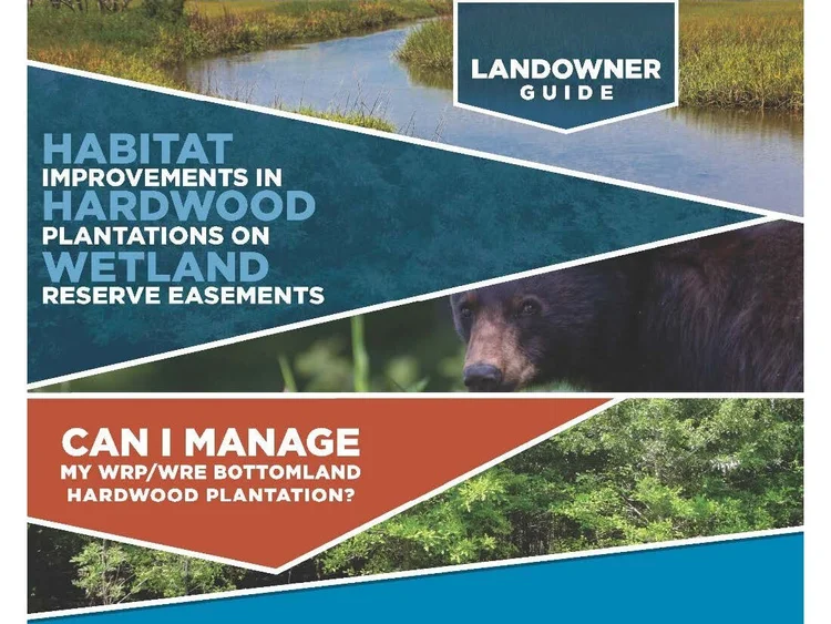 WRP/WRE Management — LMVJV