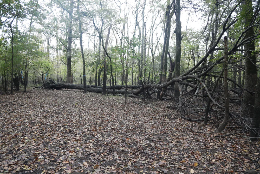 Hurricane Lake WMA Glaise Creek II NAWCA Project Approved — LMVJV