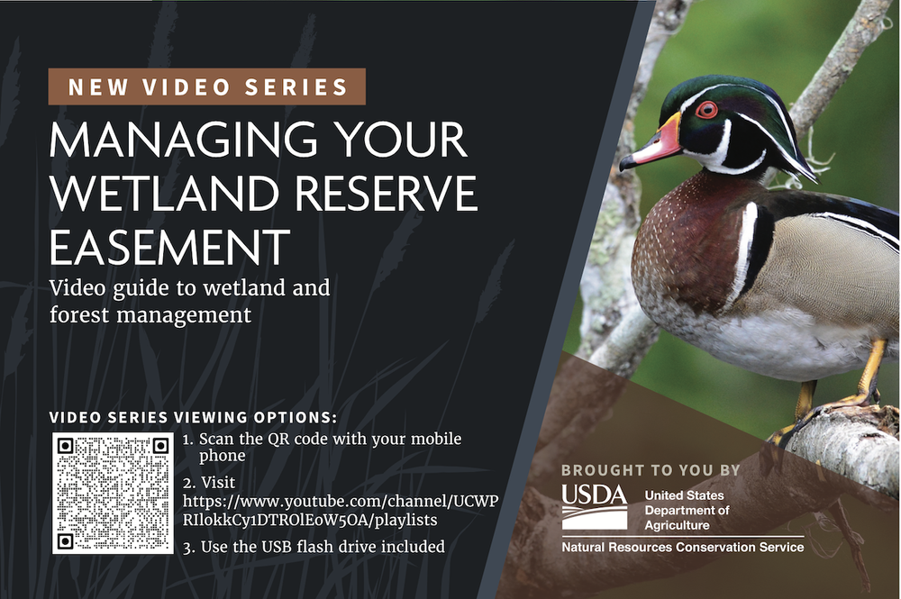 Just Released - Wetland Reserve Easement Management Video Series — LMVJV
