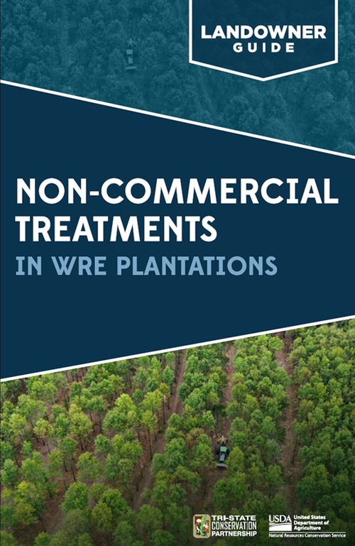 WRP/WRE Management — LMVJV