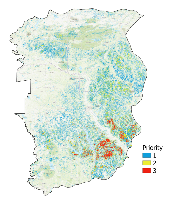 WGCPO Open Pine Decision Support Model — LMVJV