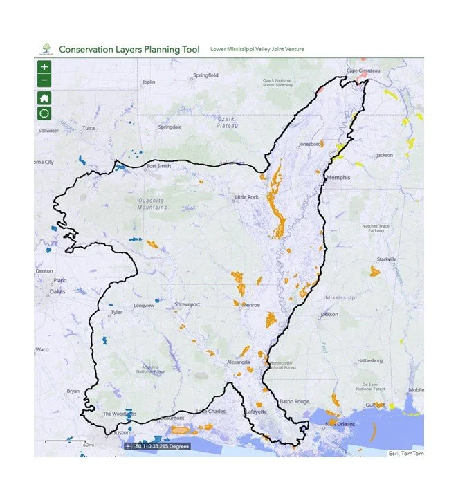 MAV Planning Tool — LMVJV