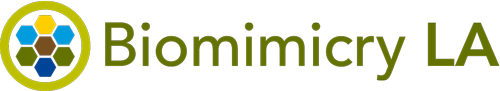 About — Biomimicry LA