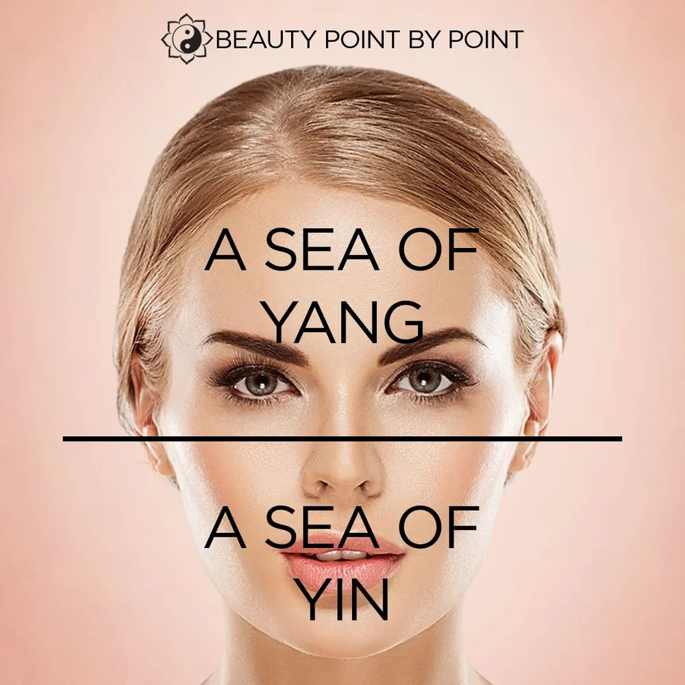 What is Yin and Yang? — Beauty Point by Point