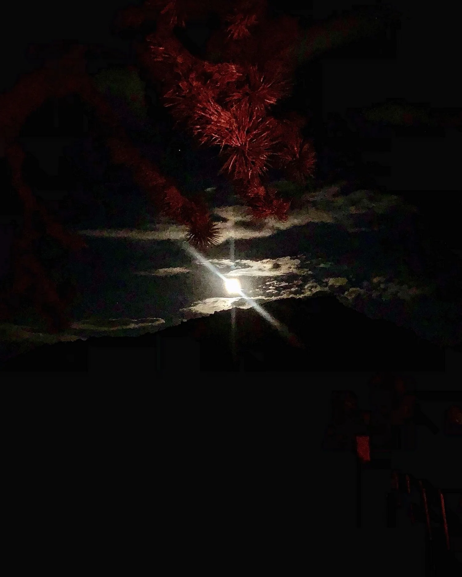 What Is Yin? — Beauty Point by Point