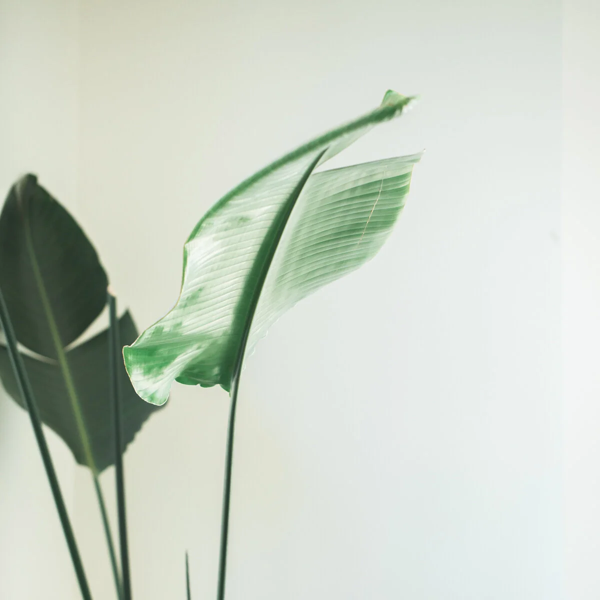 4 Steps to Feeling Your Feelings — Riverbank Therapy, PLLC