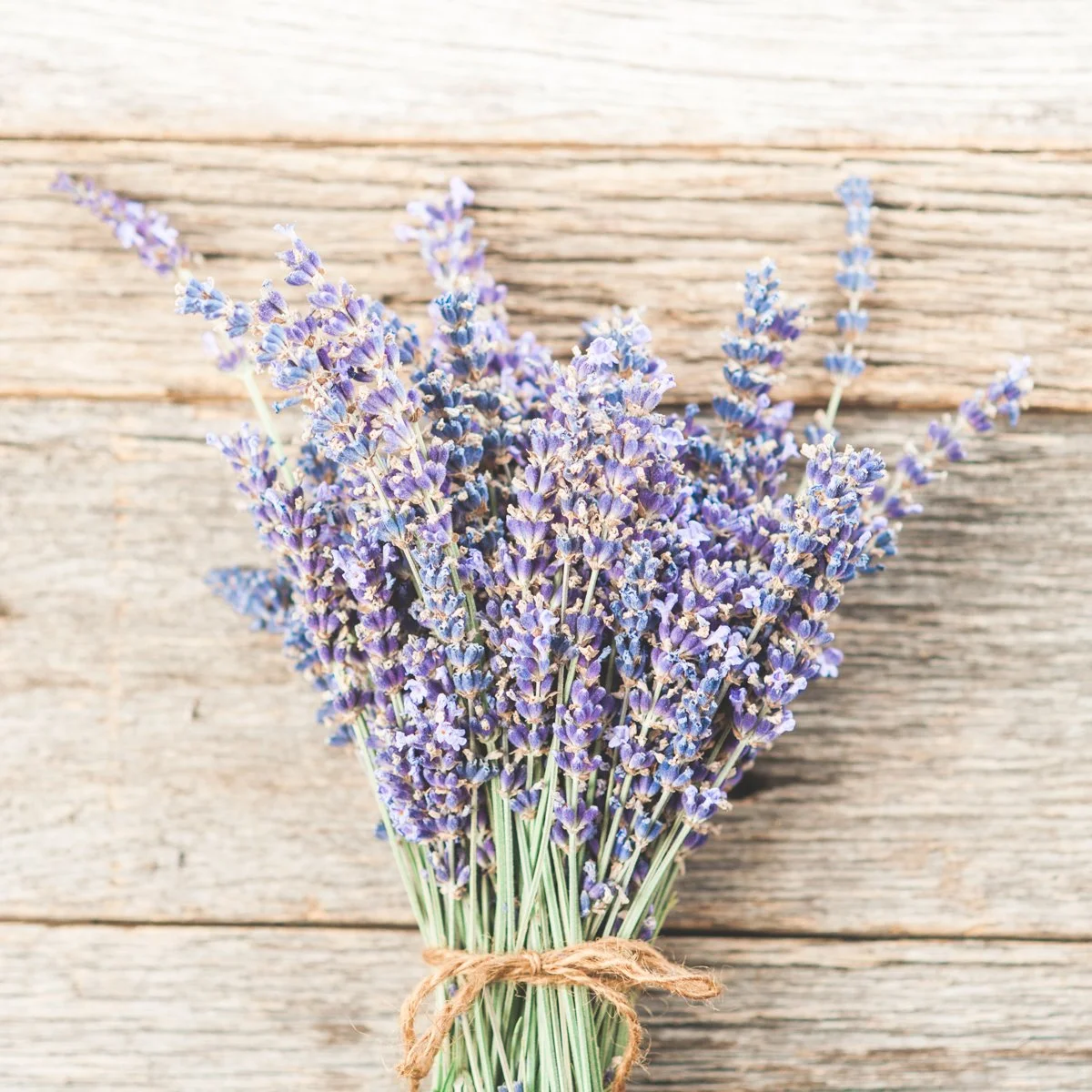 5 Tips for Sharing Big Feelings — Riverbank Therapy, PLLC