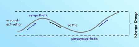 Your Nervous System and the Window of Tolerance — Riverbank Therapy, PLLC