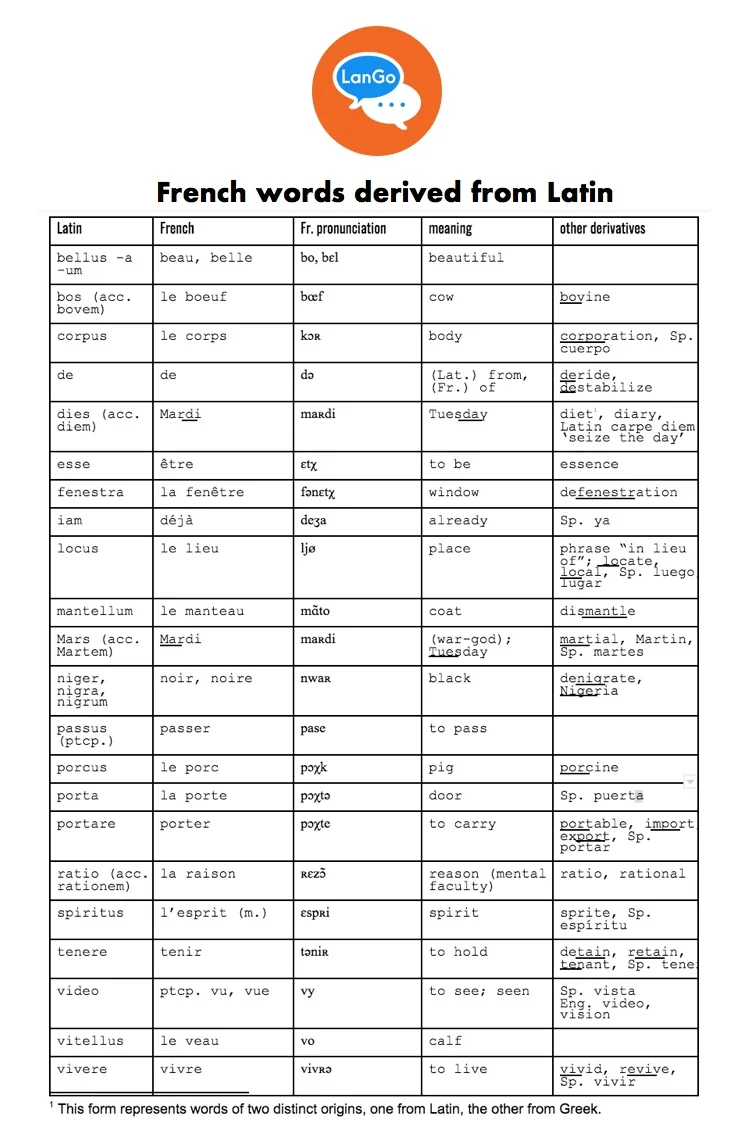 French🐱Chat — LanGo Institute