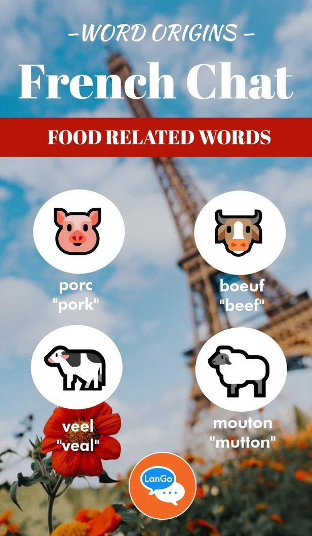 French🐱Chat — LanGo Institute